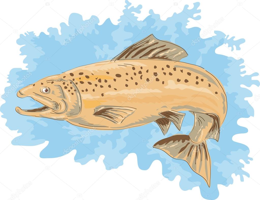 Trout fish jumping Stock Vector Image by ©patrimonio #27775375