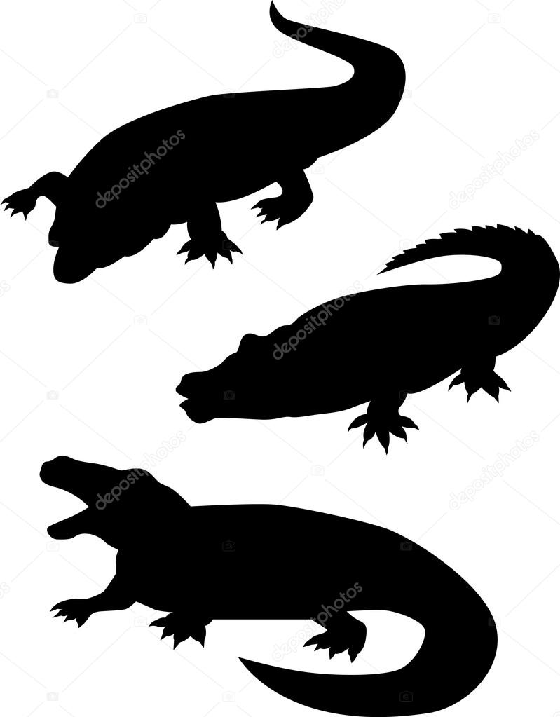 Reptile Silhouettes Stock Vector Image by ©patrimonio #28935837