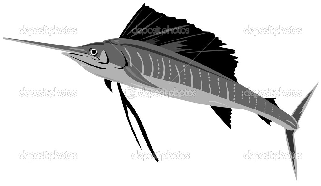 Sailfish Jumping Drawing