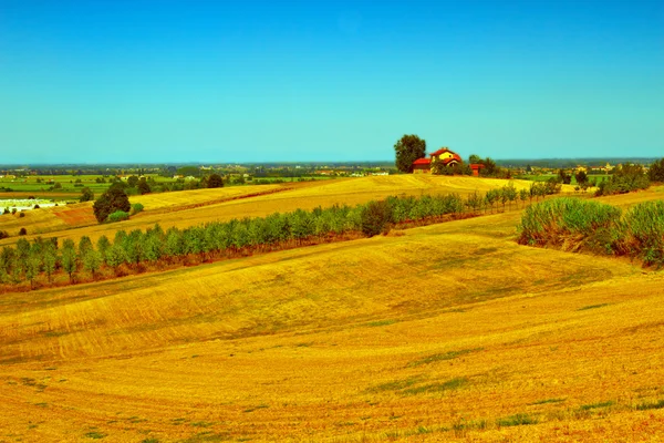 Paisaje rural fotos de stock, imágenes de Paisaje rural sin royalties ...