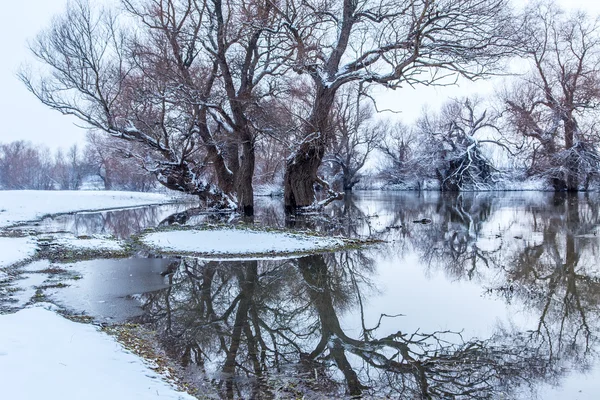 Australia winter landscape Stock Photos, Royalty Free Australia winter ...