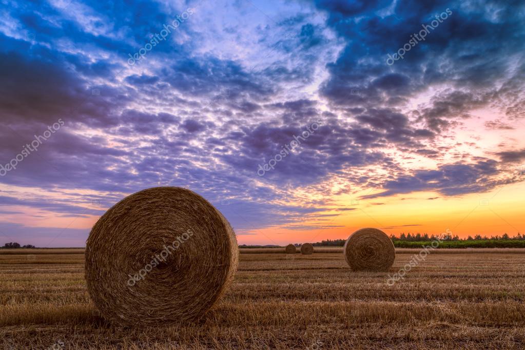 Sunset over farm field with hay bales Stock Photo by ©kavita 48321259