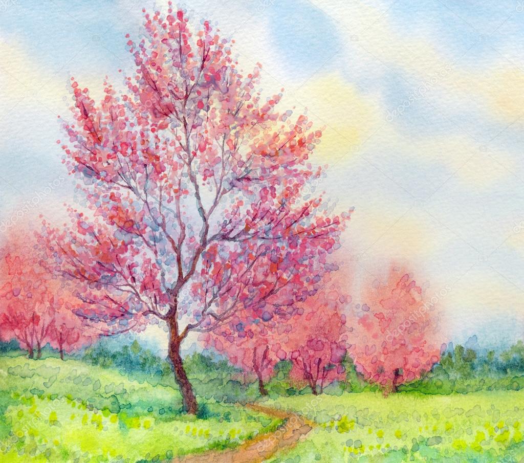 Aquarelle paysage de printemps. Arbre en fleurs dans un champ ...