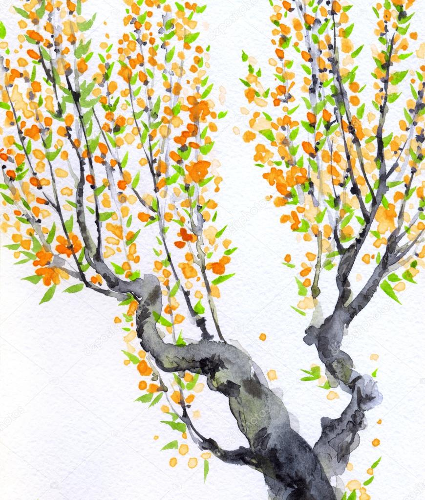 Watercolor spring background. Orange flowers on tree branches — Stock ...