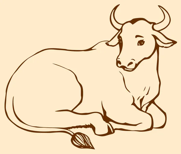 Tamaraw Clip Art