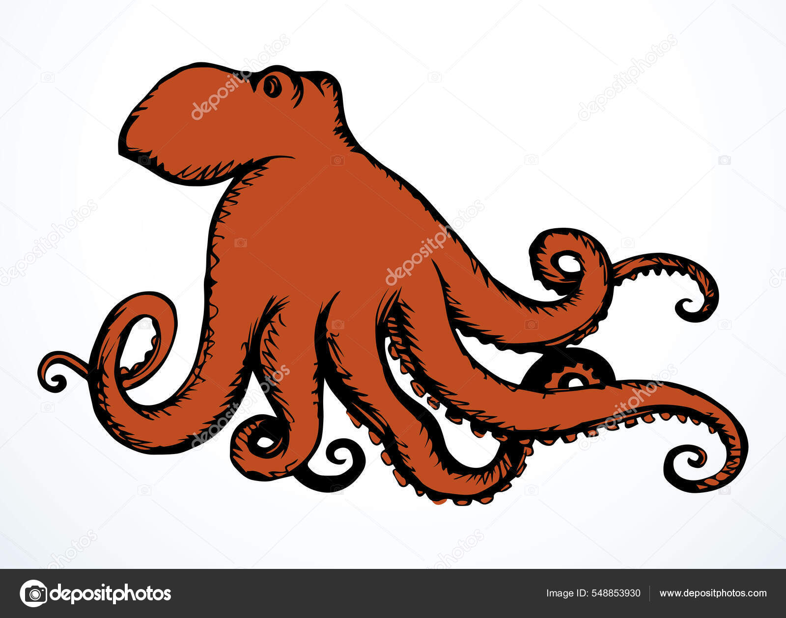 Giant Devilfish Octopus