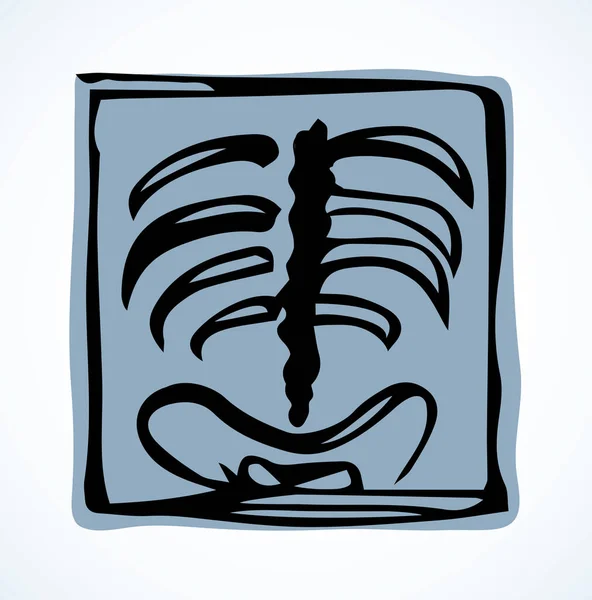 Rontgen Vector Art Stock Images | Depositphotos