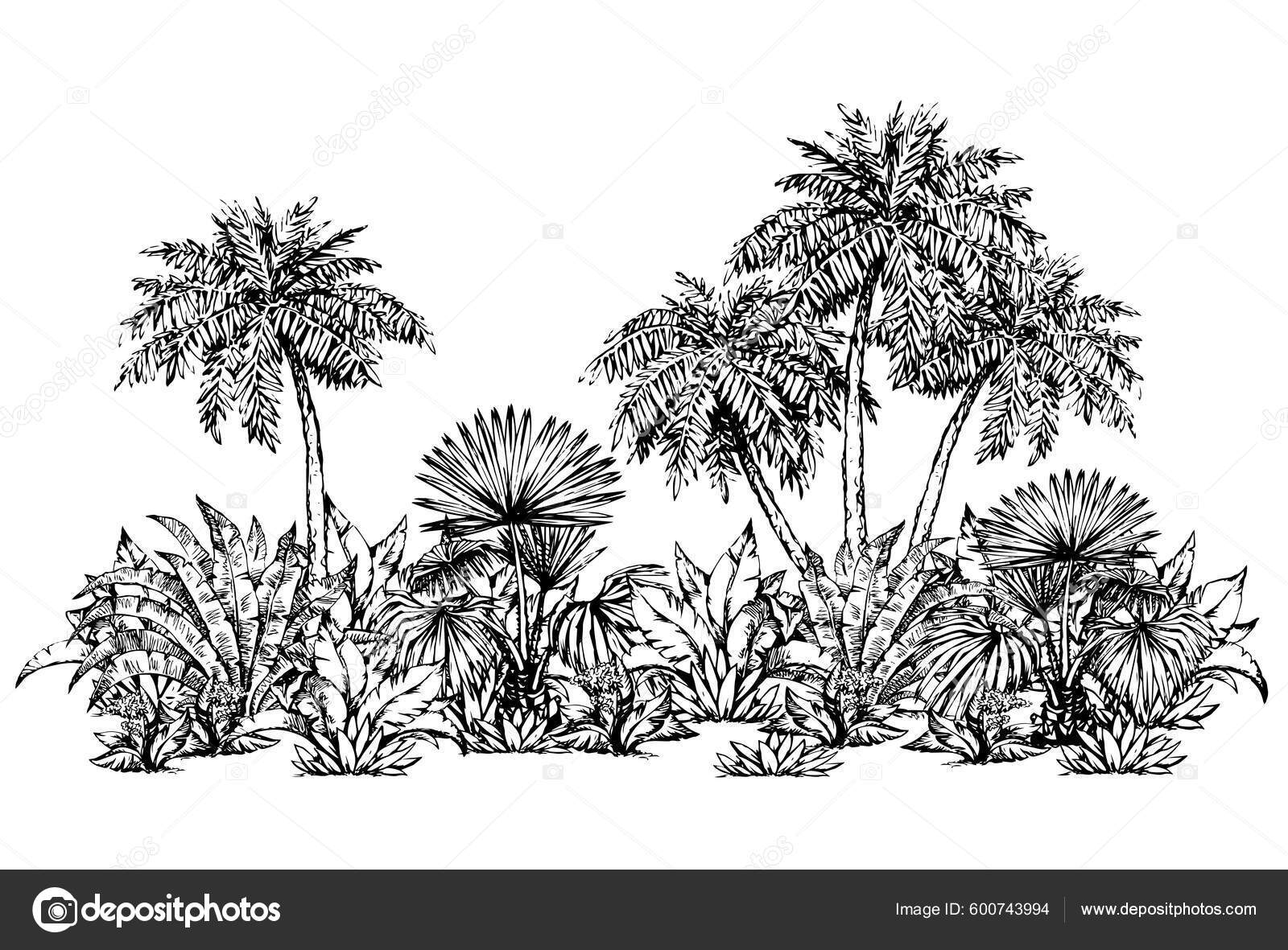 Summertime Hot Sunny Hawaii Beach Scenic View White Sky Text Stock ...