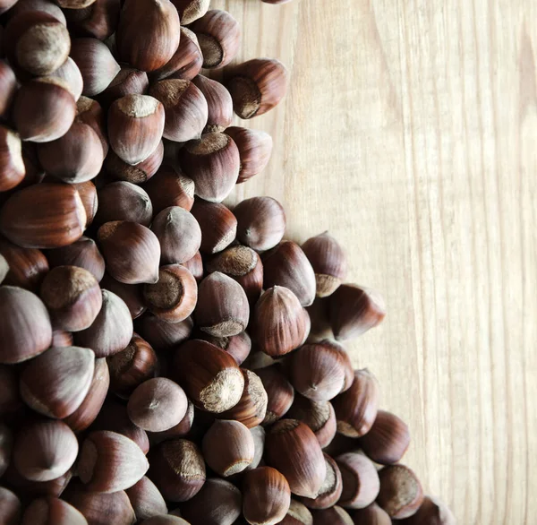 Big ripe raw fresh yummy edible fat castanea oil rind isolated light ...