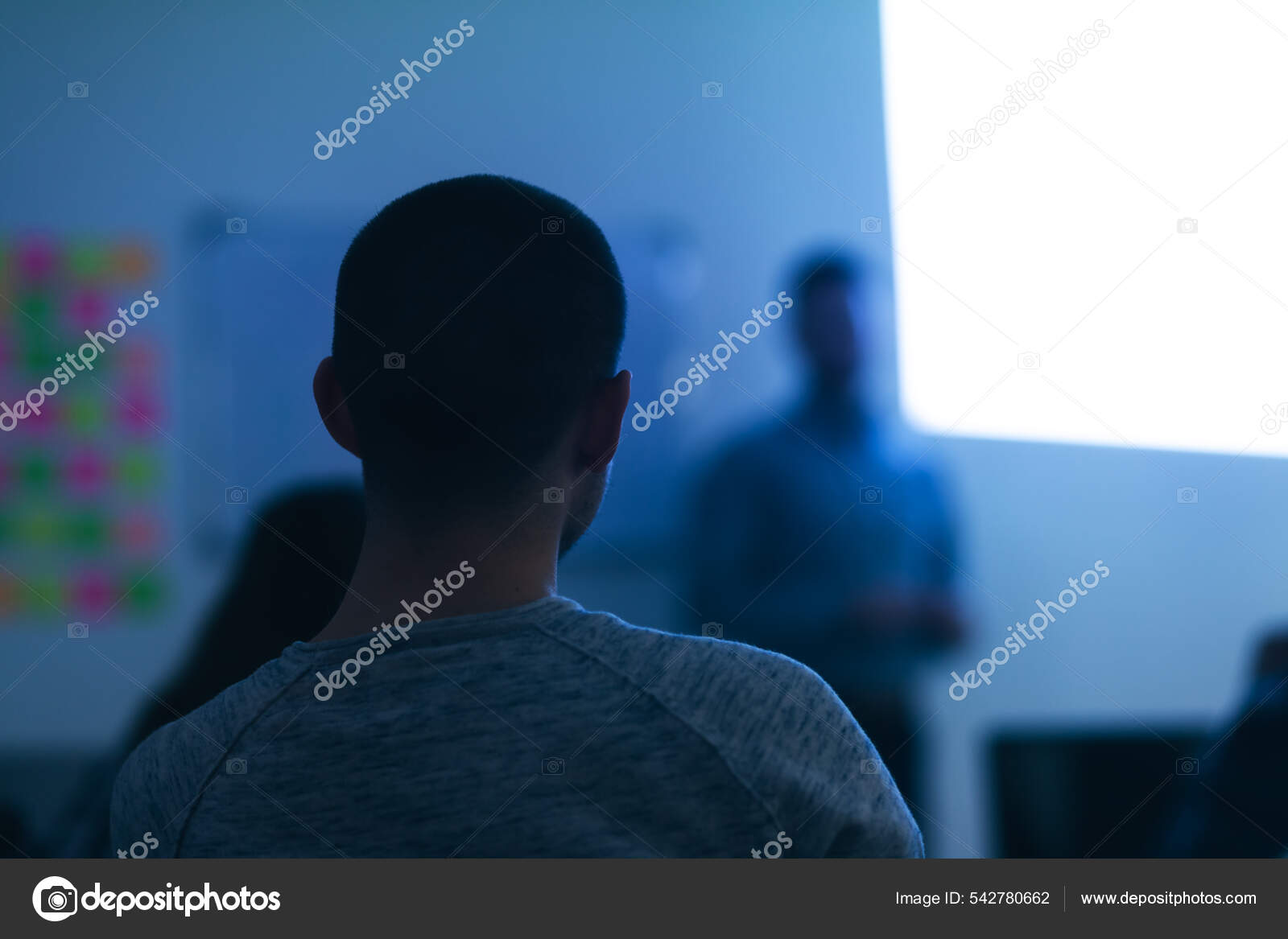 Back View Students Class Lecture Professor Next Projected Screen Wall ...