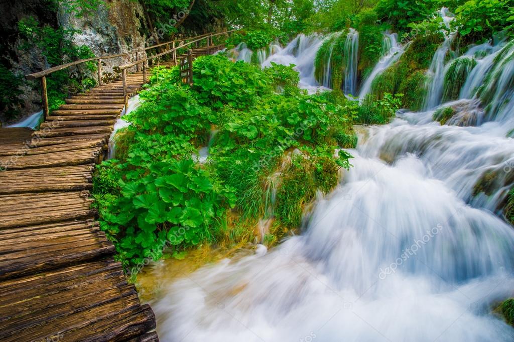 Forest Stream Scenery — Stock Photo © loriklaszlo #22399153