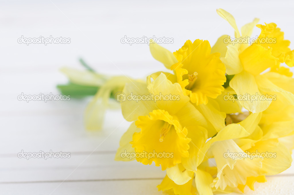 Bouquet of yellow lent lily (daffodil) on white background Stock Photo ...