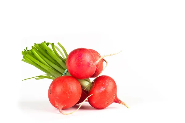 Rabano fotos de stock, imágenes de Rabano sin royalties | Depositphotos