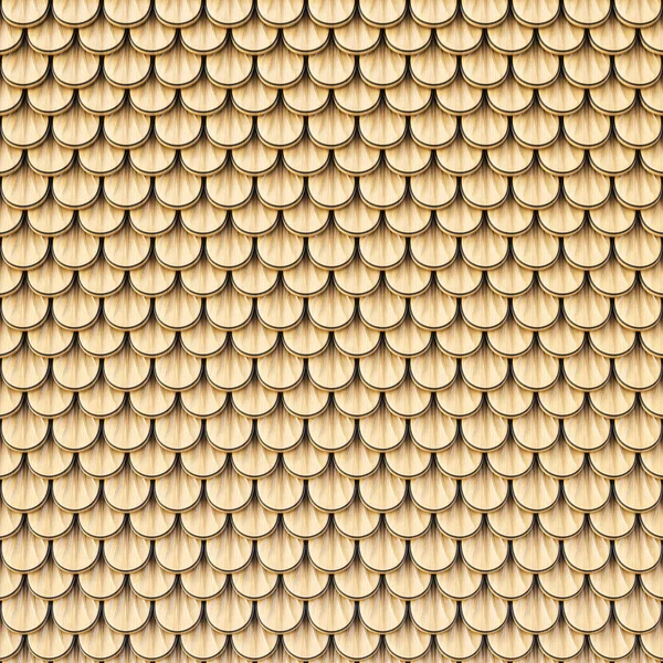 Squamose Stock Photos, Royalty Free Squamose Images | Depositphotos®