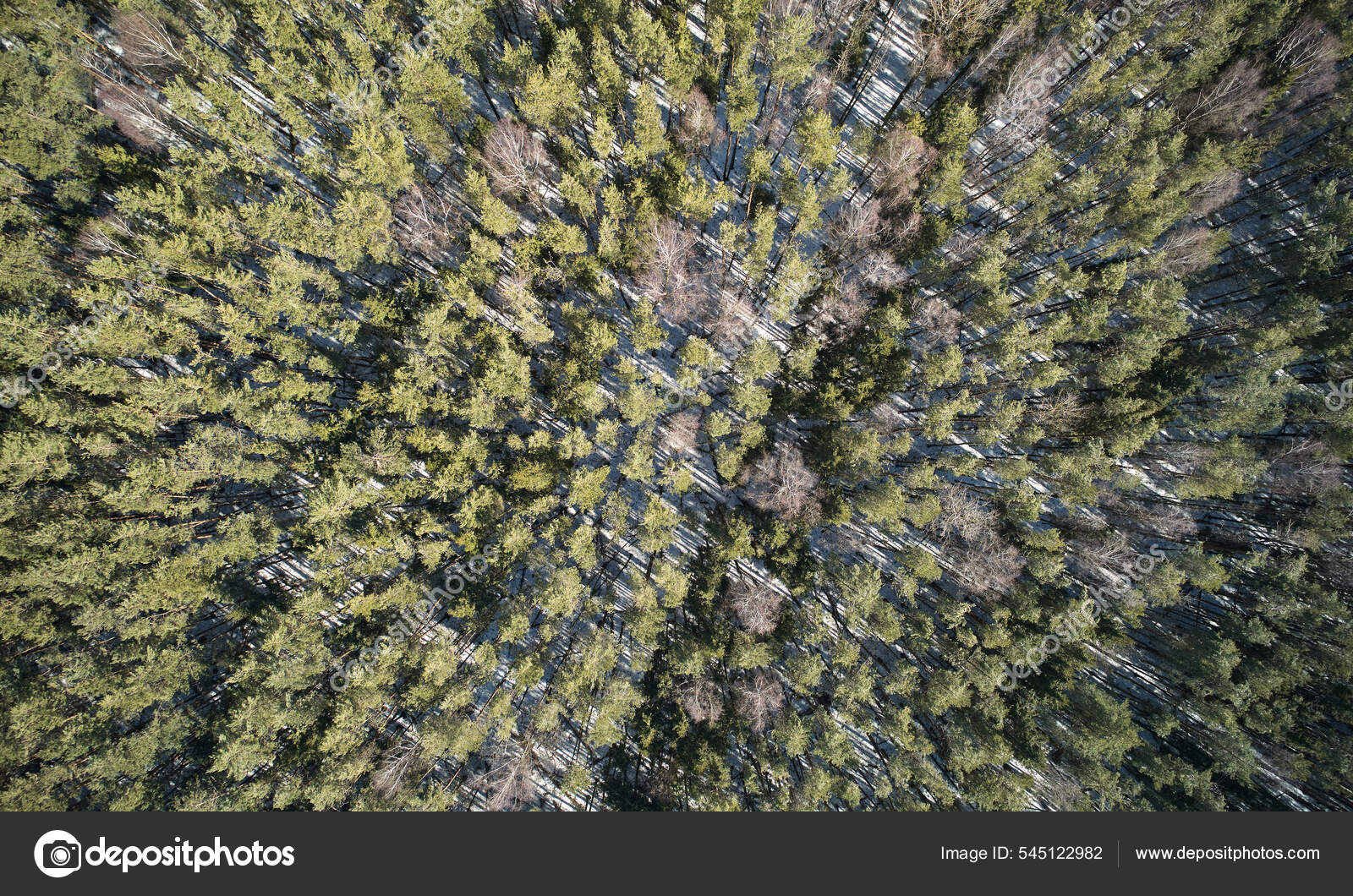Green Forest Landscape Aerial Drone Top View — Stock Photo © dimarik ...