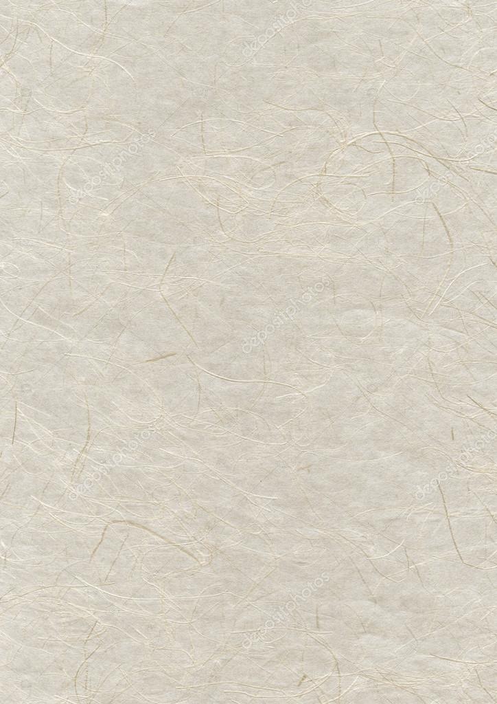 Japanese Paper Texture