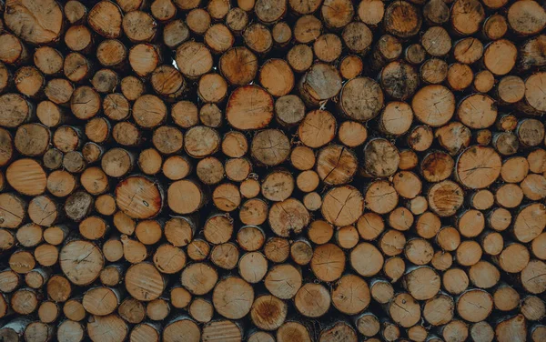 Processing log Stock Photos, Royalty Free Processing log Images ...