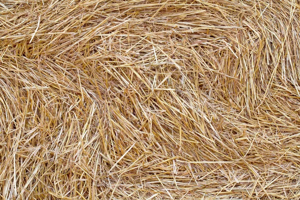 Couple hay Stock Photos, Royalty Free Couple hay Images | Depositphotos