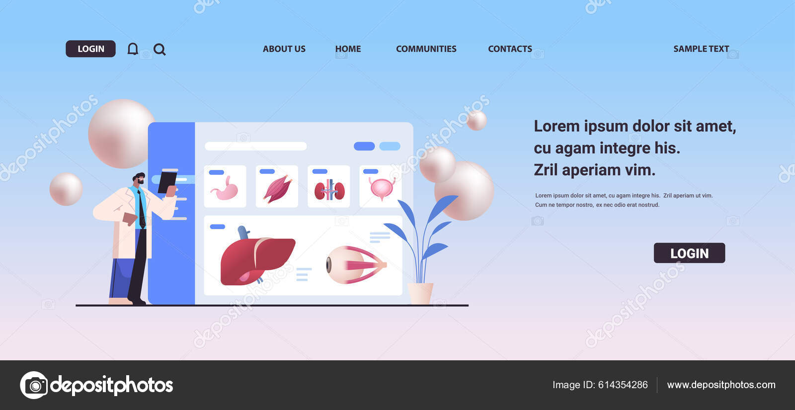 Scientifique Examinant Anatomique Corps Humain Organes Internes Sur ...