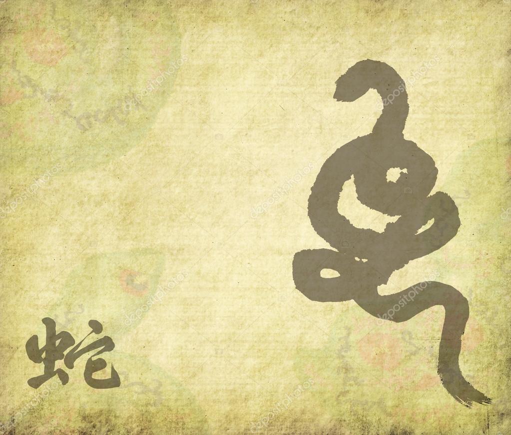 Calligraphie chinoise 2013 pour Année du Serpent — Photo de stock par ...
