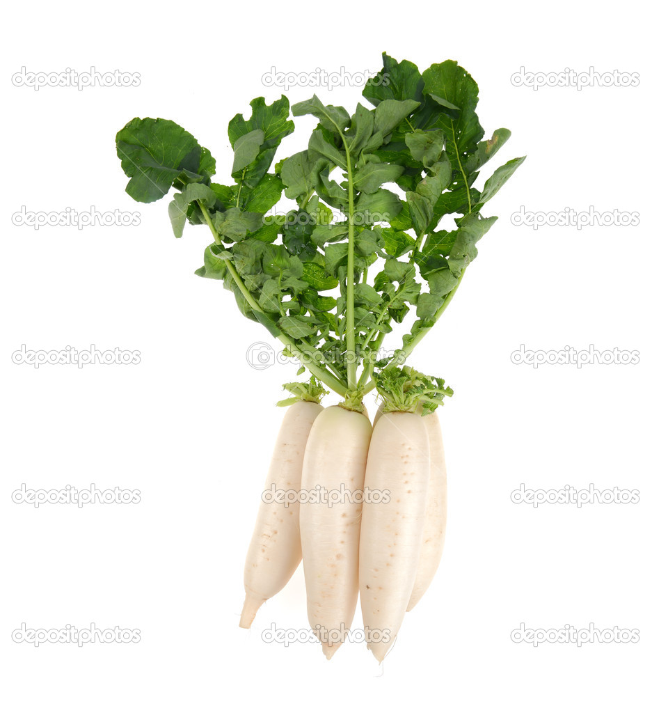rábanos daikon aislados sobre fondo blanco 2023