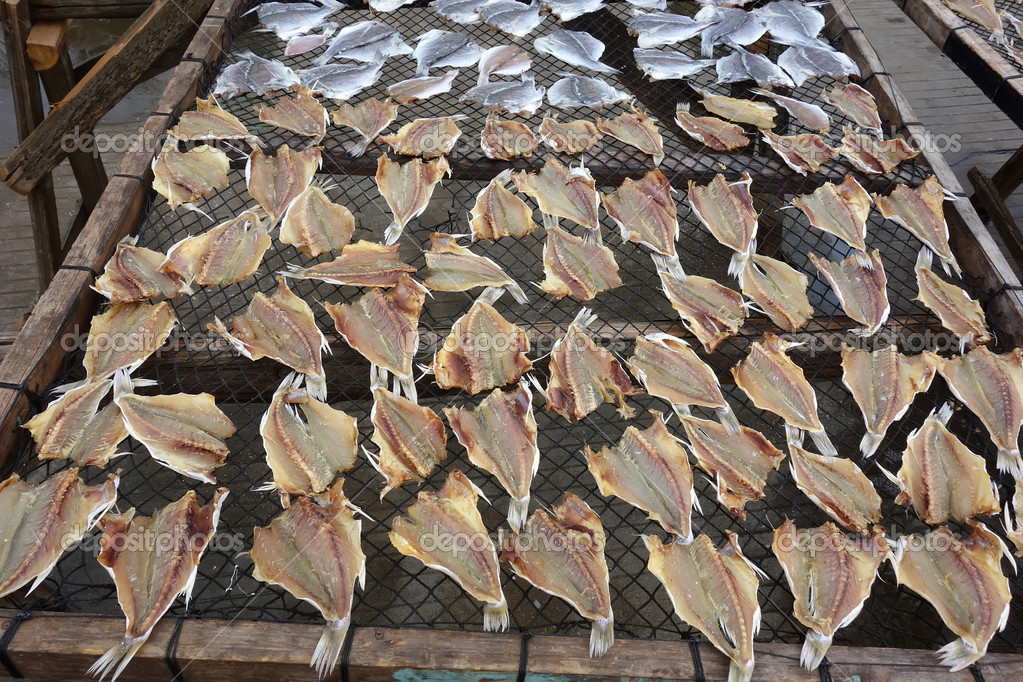 Fish drying in the sun.Drying fish meat Stock Photo by ©firefox 23132560