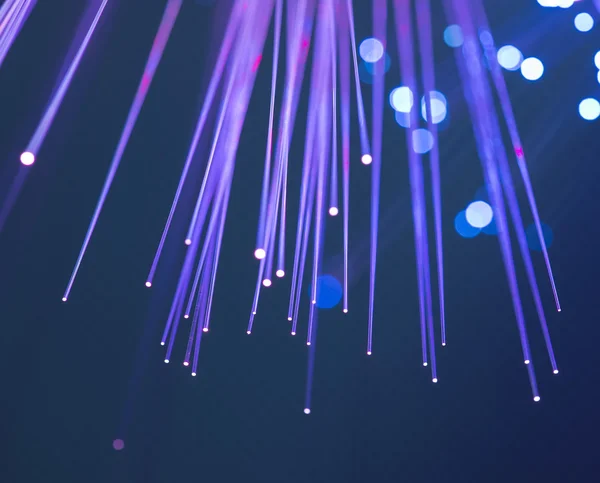 Fiber optical network cable - Stock Image - Everypixel