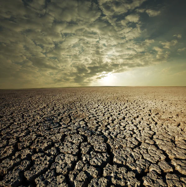 Drought land Stock Photos, Royalty Free Drought land Images | Depositphotos
