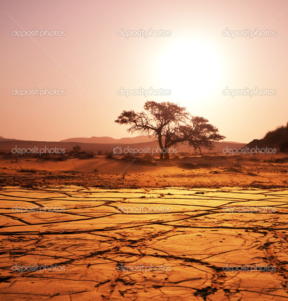 Drought Stock Photo by ©kamchatka 19404665