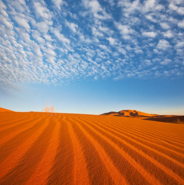 Parched desert clouds Stock Photos, Royalty Free Parched desert clouds ...