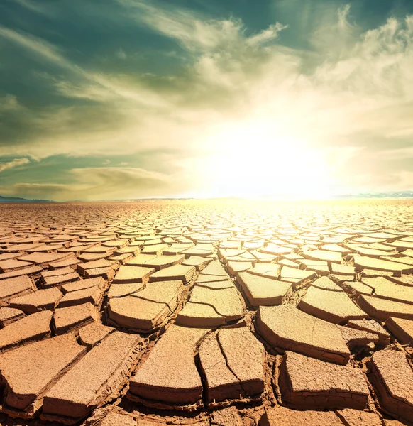 Drought land — Stock Photo © kamchatka #4261826