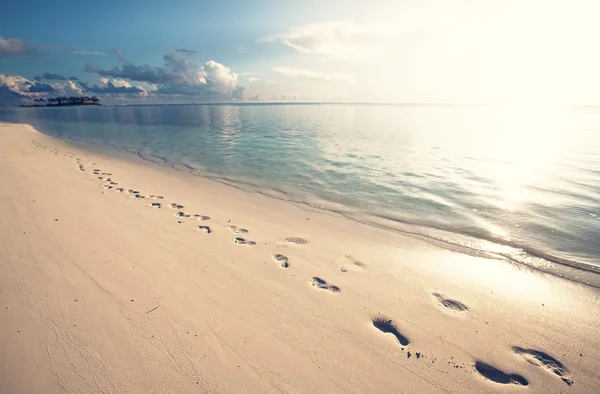Beach footsteps Stock Photos, Royalty Free Beach footsteps Images ...