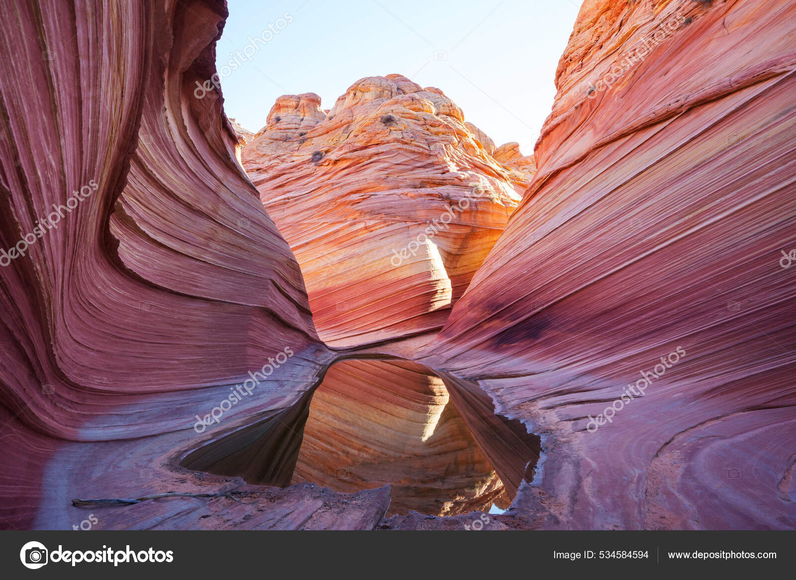 Wave Arizona Vermillion Cliffs Paria Canyon State Park Usa Amazing ...