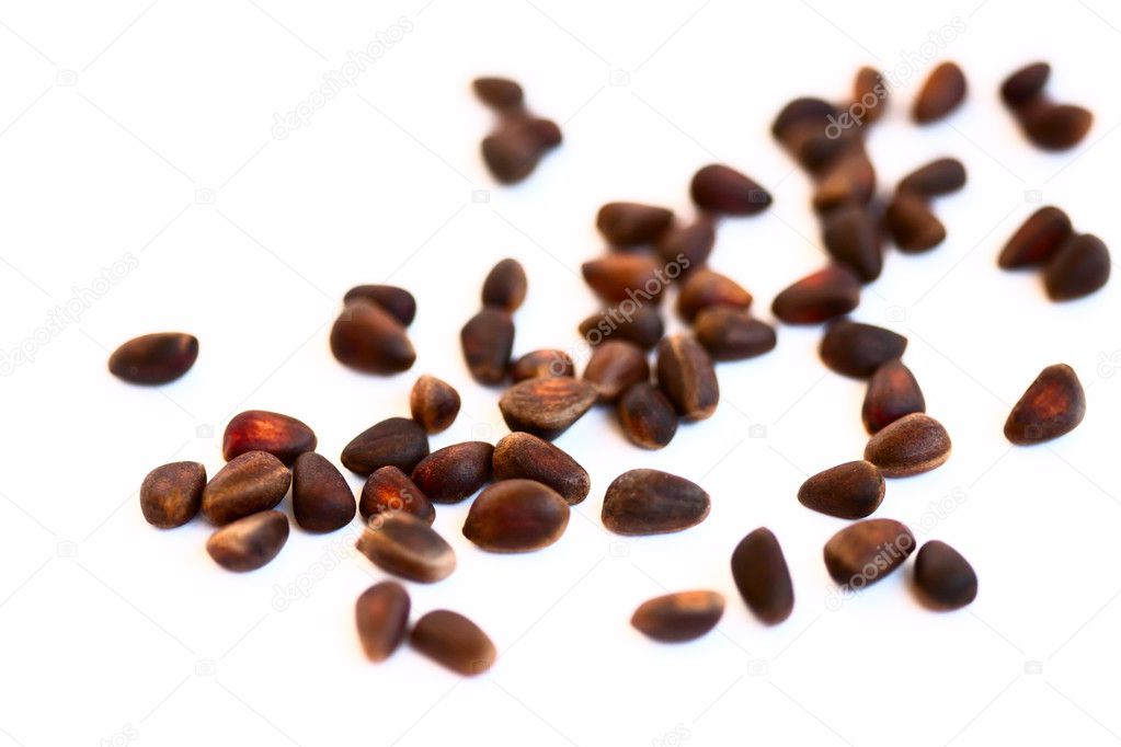 Pine Nuts — Stock Photo © Nataly-Nete #33252883