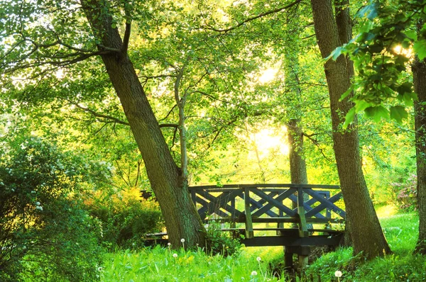 Summer scenery Stock Photos, Royalty Free Summer scenery Images ...