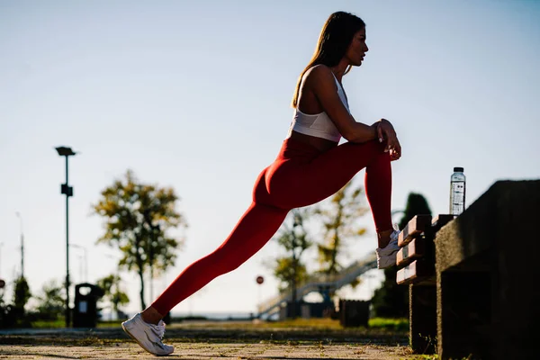 Portrait Beautiful Strong Fit Woman Model Posing Stock Photo by ...