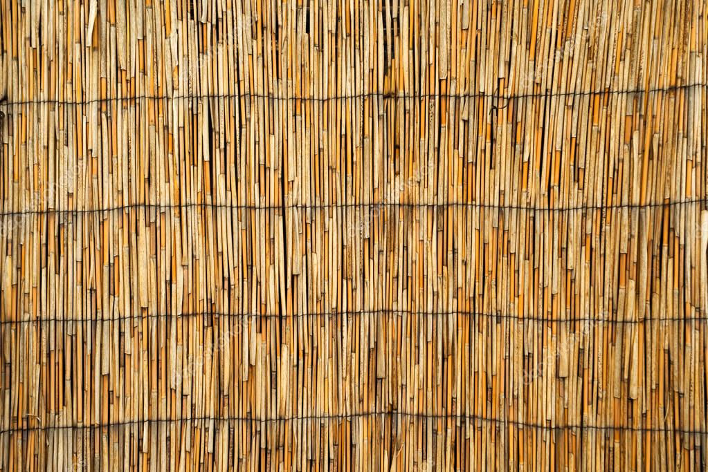Cane roof texture — Stock Photo © stevanovicigor #19003631