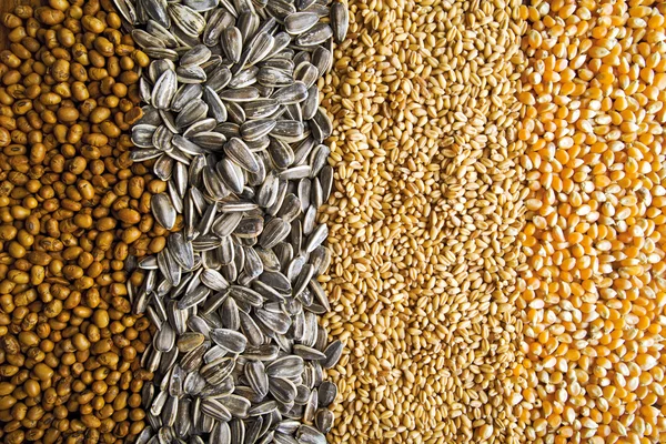 Granos fotos de stock, imágenes de Granos sin royalties | Depositphotos