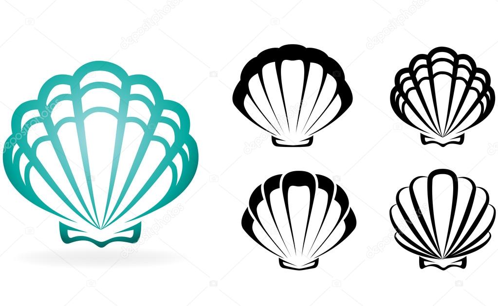 Grupo De Conchas Clipart