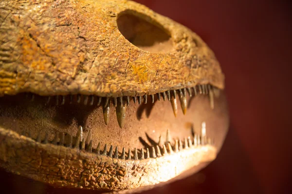 Dinosaur sharp teeth Stock Photos, Royalty Free Dinosaur sharp teeth ...