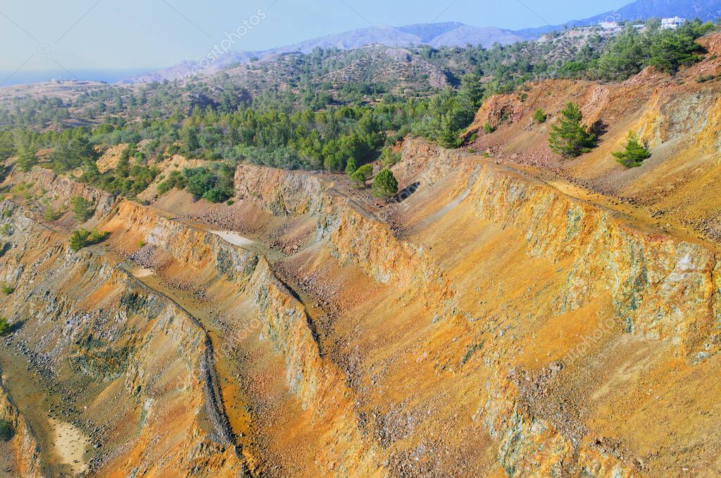 Reforestación de la antigua mina a cielo abierto. Pinos creciendo en la ...