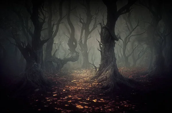Eerie forest Stock Photos, Royalty Free Eerie forest Images | Depositphotos
