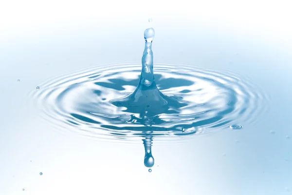 Single Water Drop Splash Water Pool Ripples White Background Clipping ...