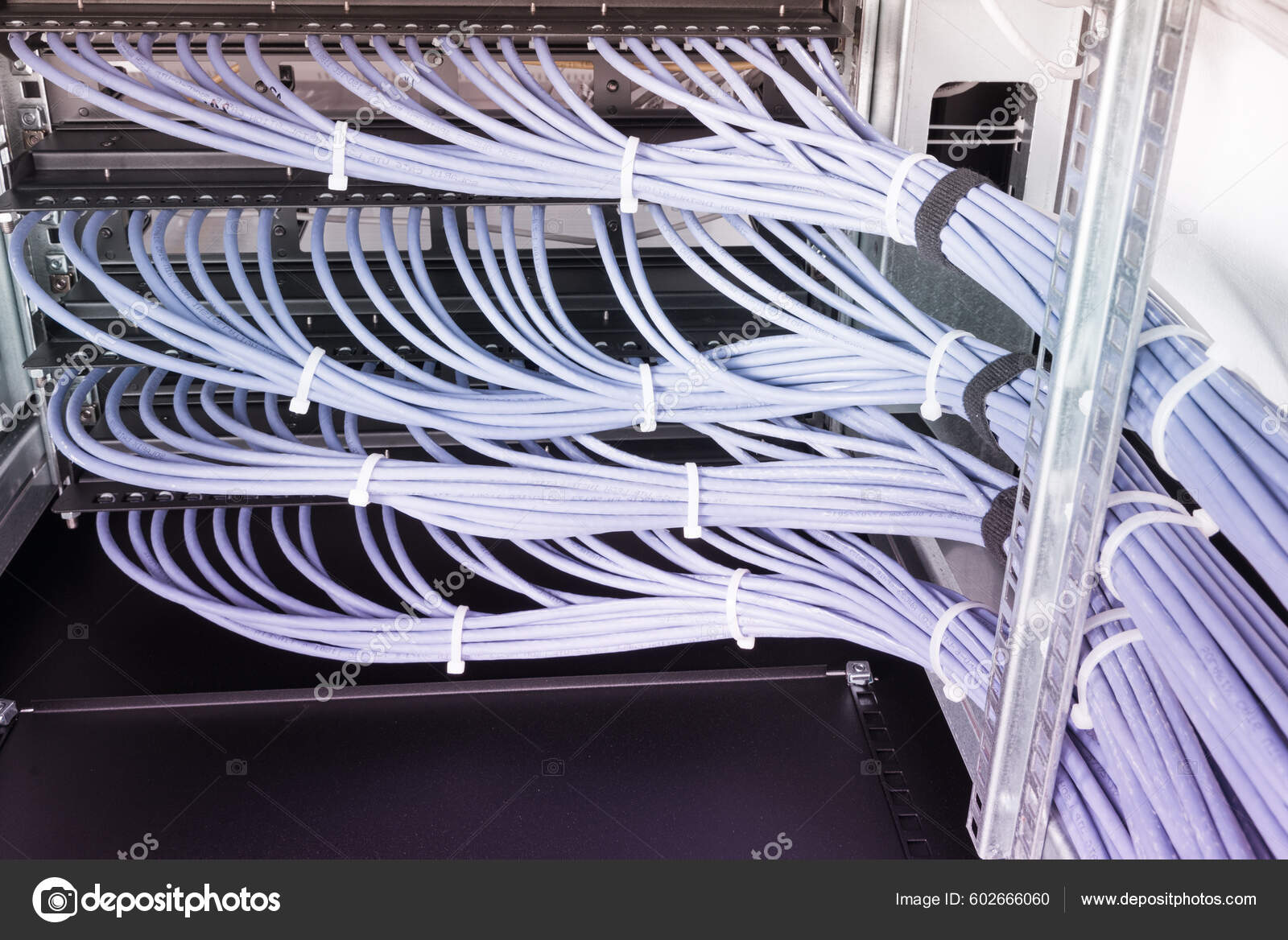 Bunch Patch Network Cables Sorted Rack Cabinet Leading Patch Panel ...