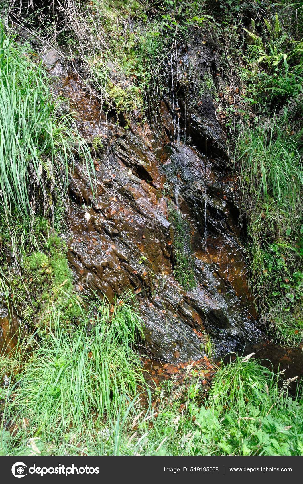 Spring Flowing Rock — Stock Photo © BZH2224 #519195068