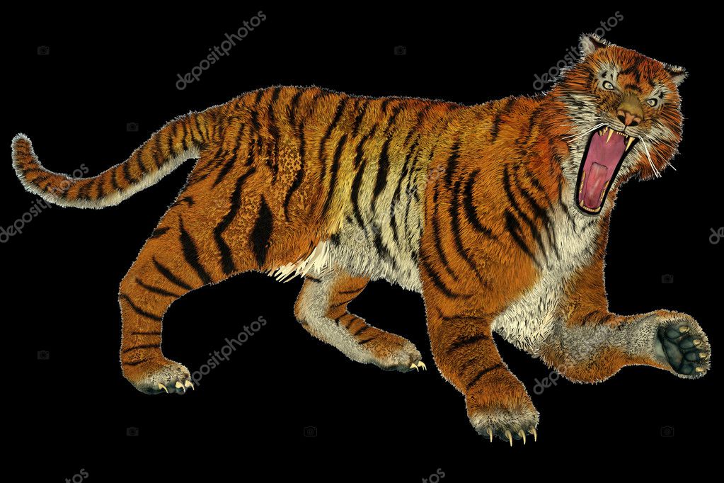 Tiger raging — Stock Photo © Elenarts #13376320