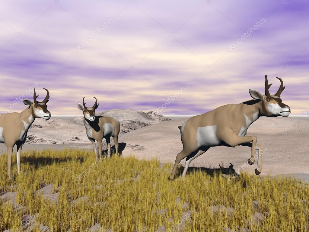 Prehistoric Antelope