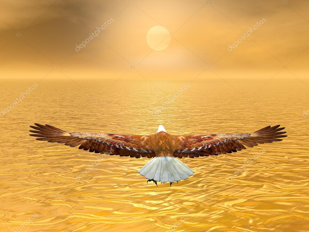 Eagle going to the sun - 3D render — Stock Photo © Elenarts #23183600