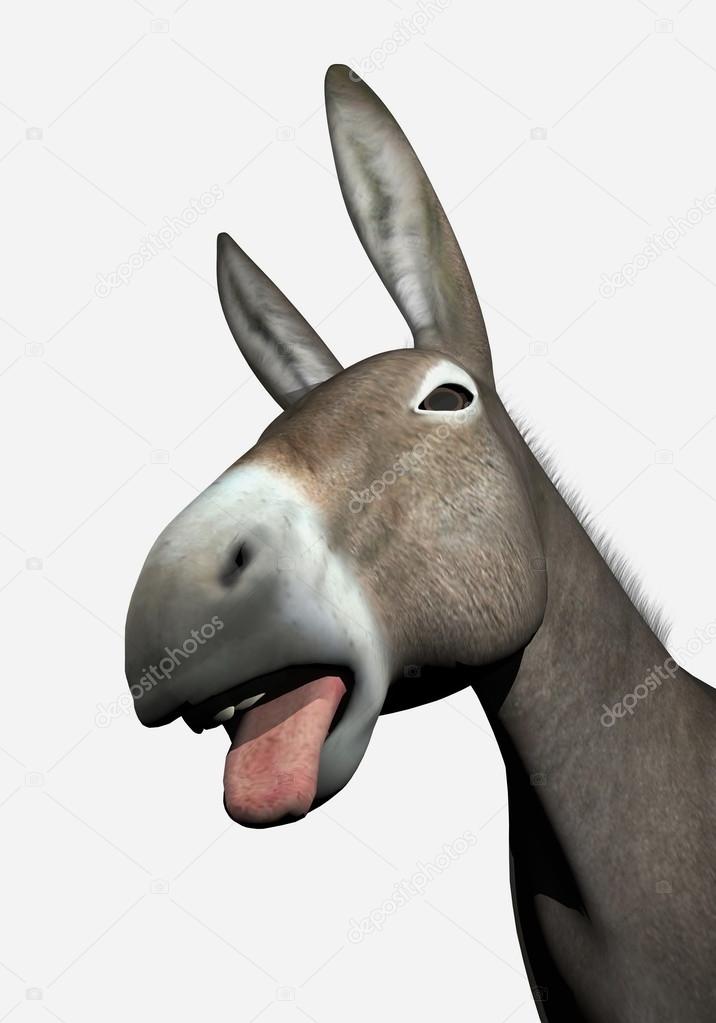 Laughing Mule