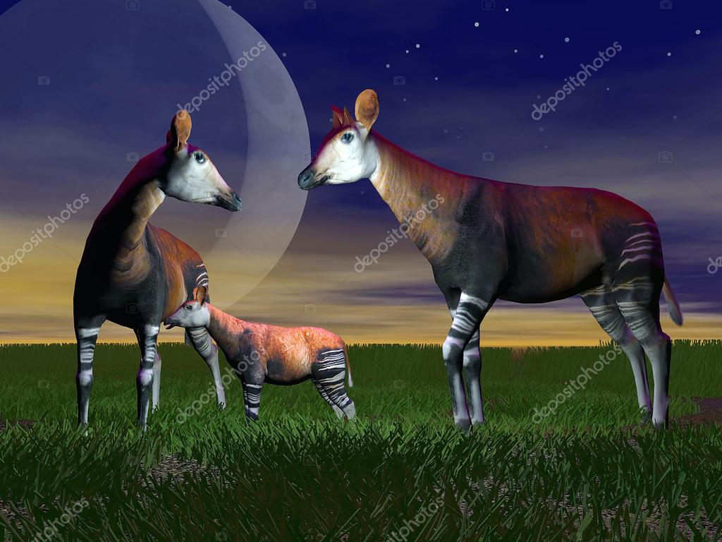 Okapi family - 3D render Stock Photo by ©Elenarts 31484501